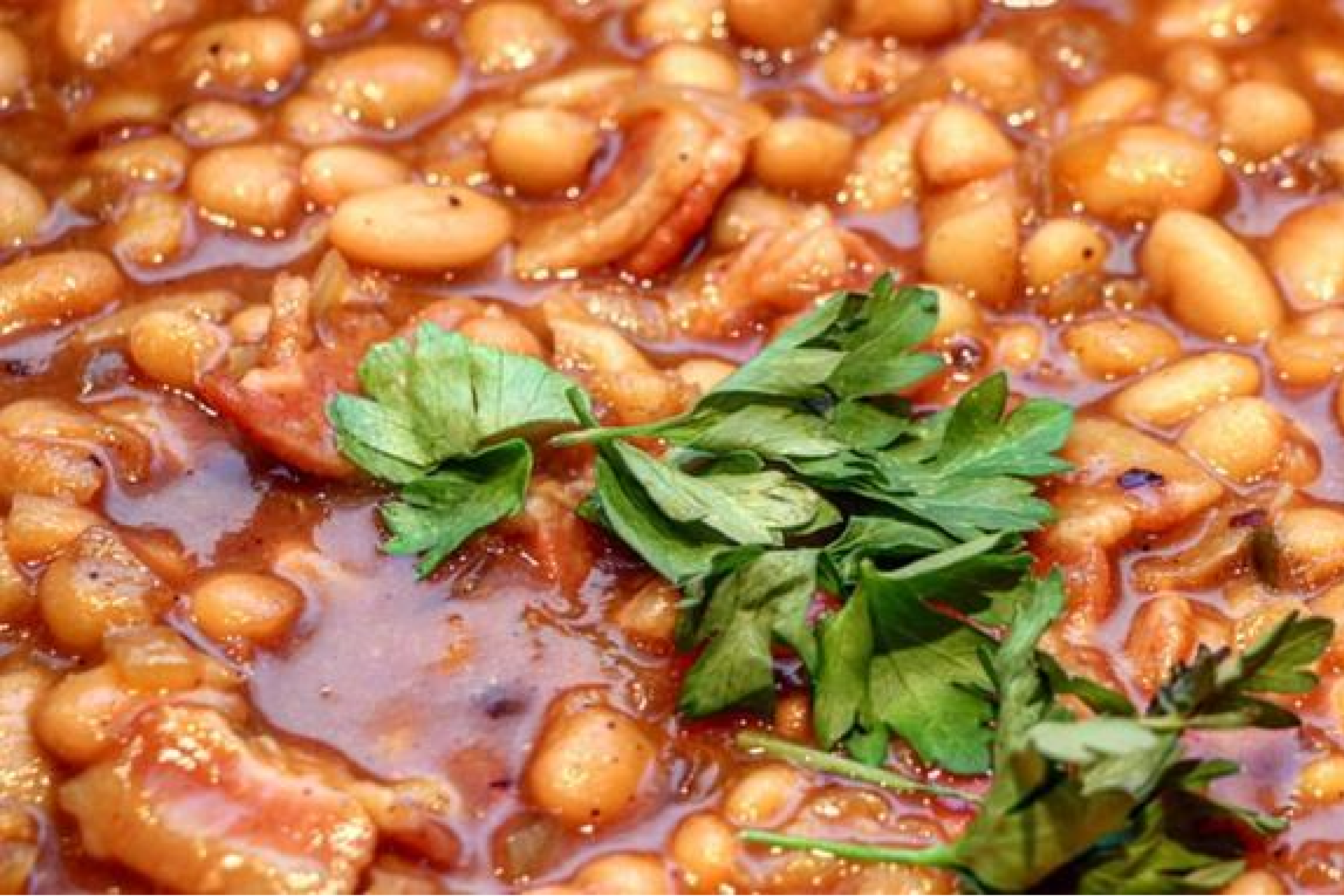 Barbecued Beans over Fogo Lump Charcoal – FogoCharcoal.com