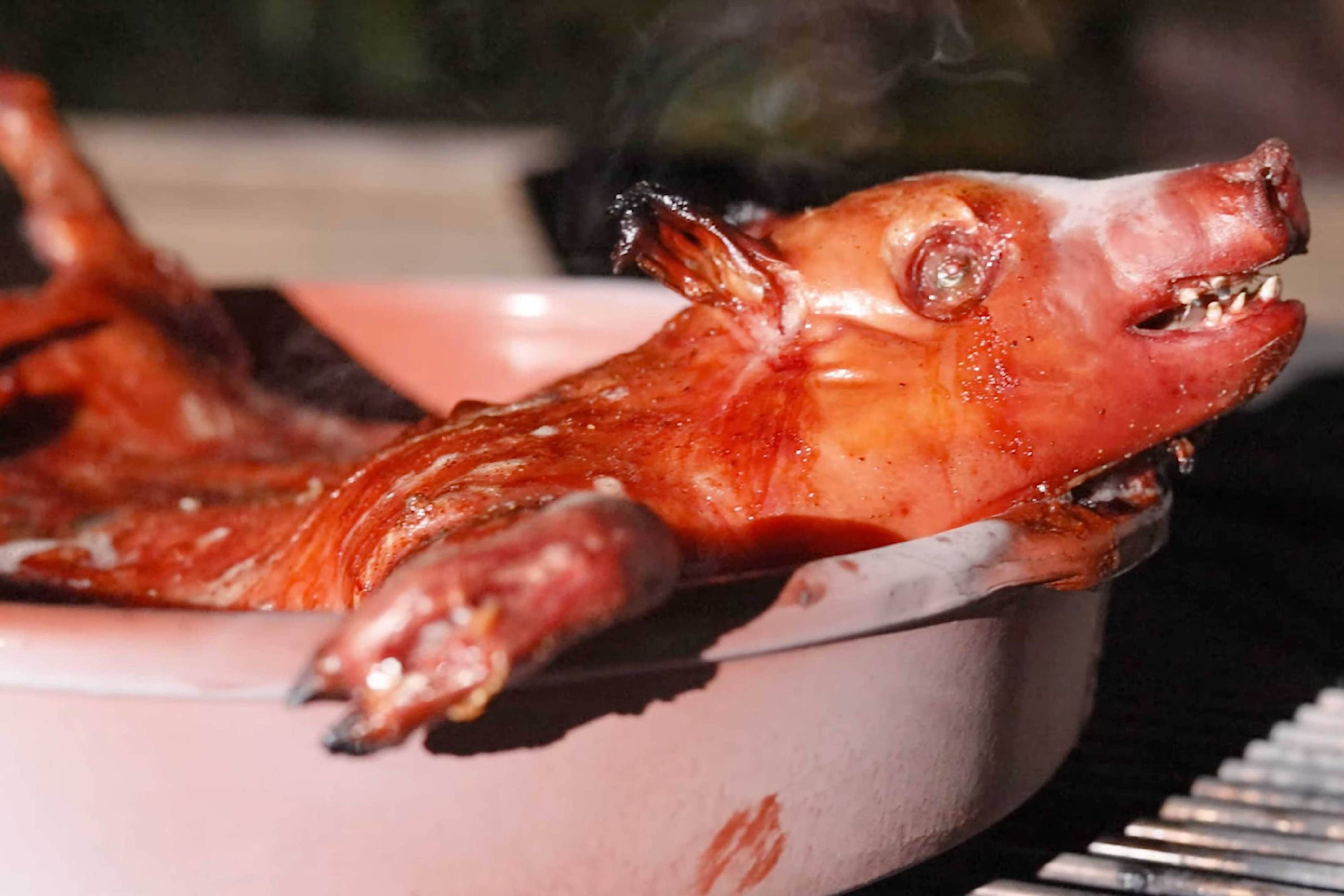 Roasted Segovian Suckling Pig – FogoCharcoal.com